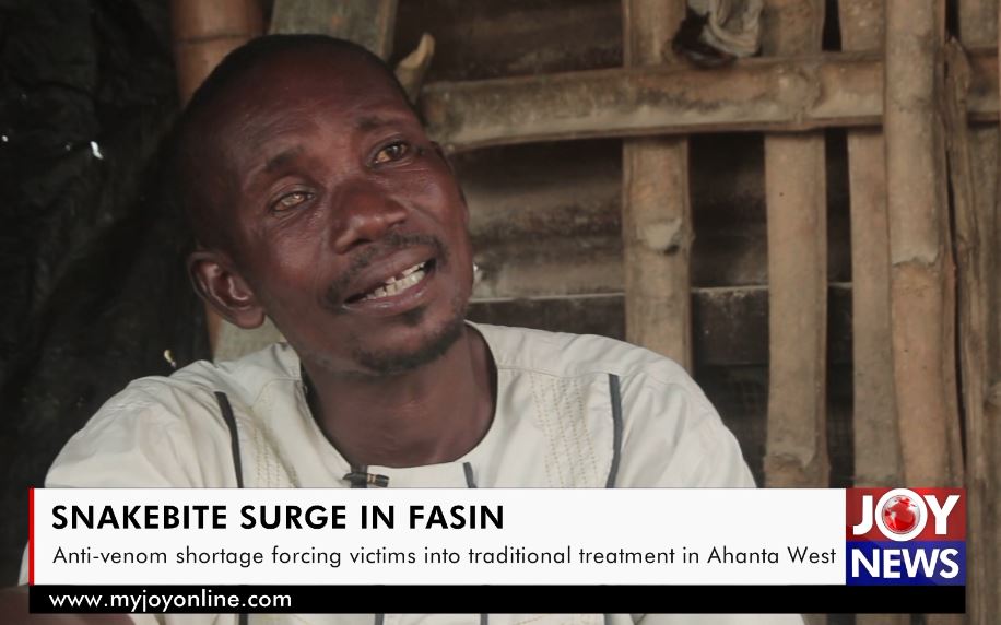 Anti-venom shortage in Fusin forces health authorities to use Black ...