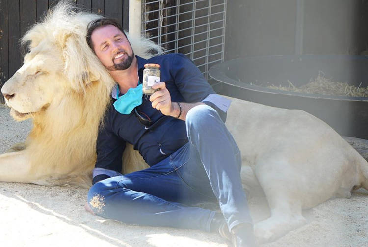 German Circus sells Lion poop for survival in the wake of Covid-19 ...