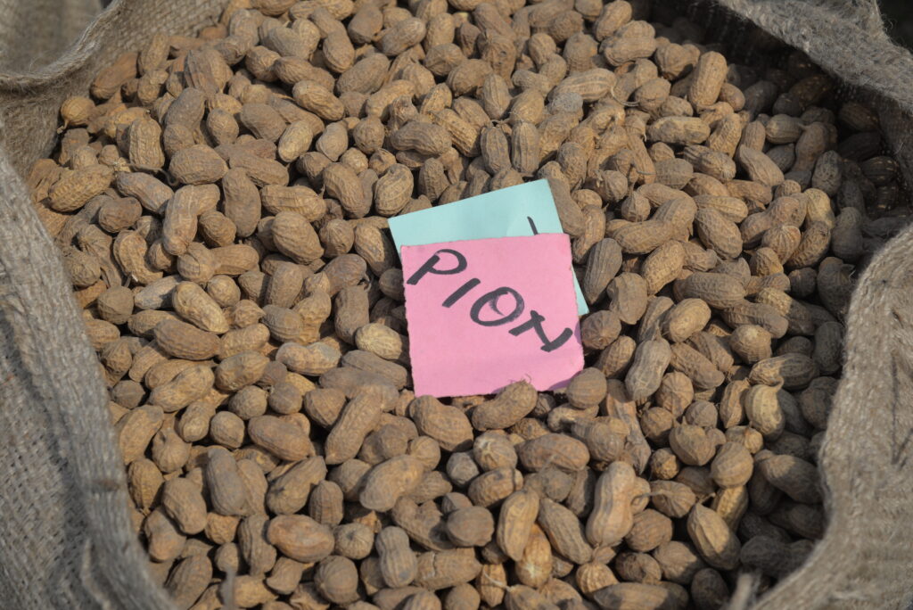 Planting for food and jobs receives boost as the Crops Research ...