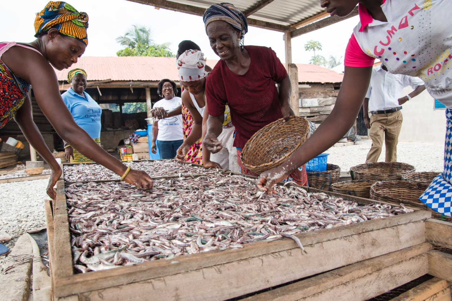 Fisheries Ministry lauds intervention by USAID, SFMP in Ghana’s ...