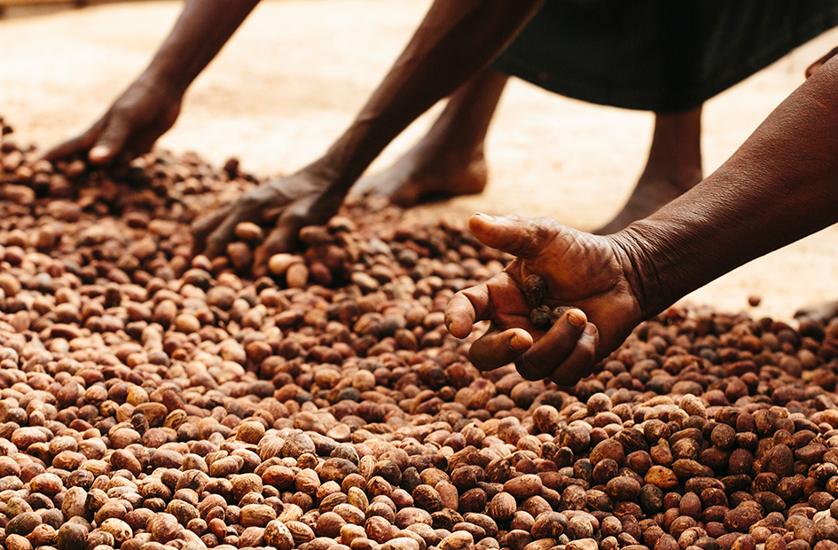 Upfield joins the Global Shea Alliance - MyJoyOnline