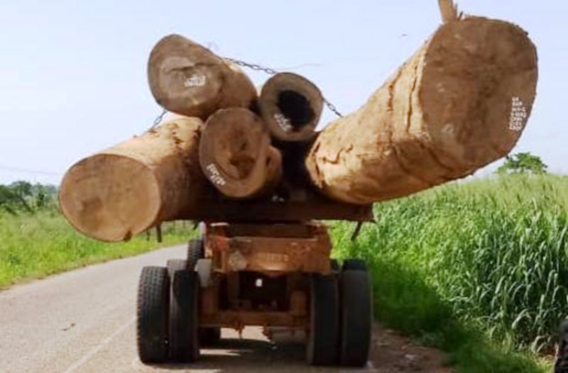 Begoro Police removes lifeless body from stationary timber truck ...