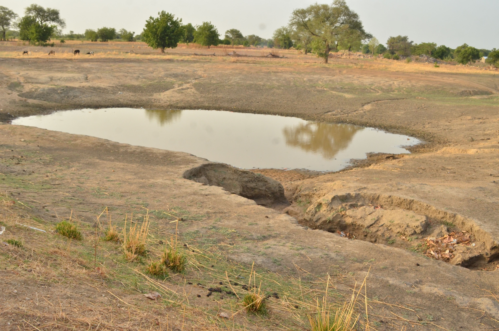 'One Village, One Dam': Government yet to improve on poorly constructed ...