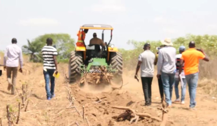 Ghana to produce cassava with high starch content for export ...