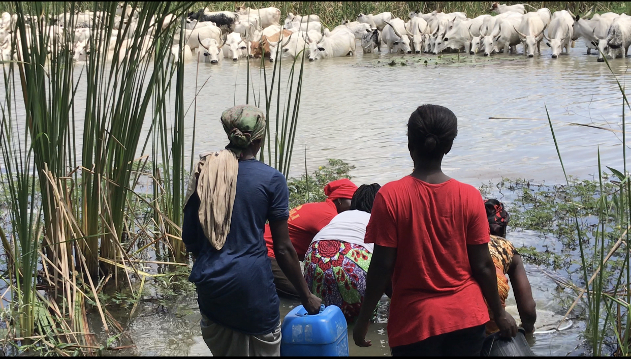Srekpe and surrounding communities share water sources with animals ...