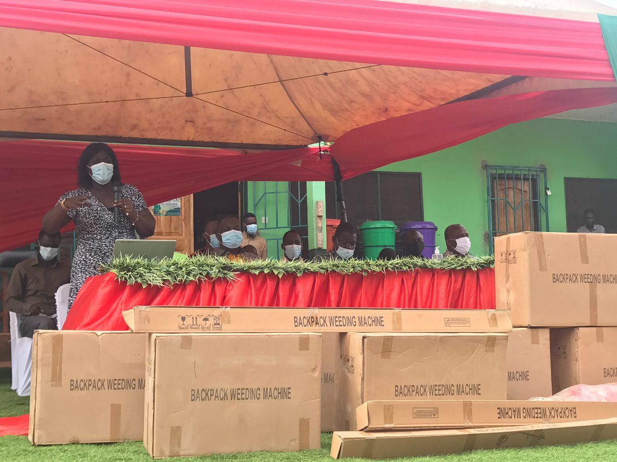 Improving Rice production: Women rice farmers in the Bono East Region ...