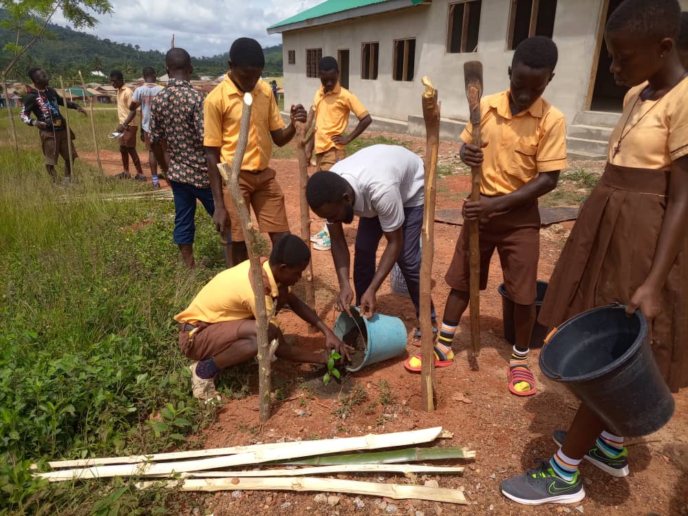 Photos: Ghana plants 5 million trees today - MyJoyOnline