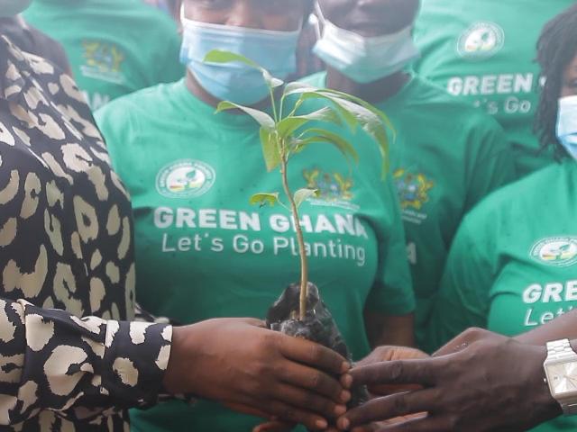 Central Regional Minister charges MMDCEs to own the Green Ghana Project ...