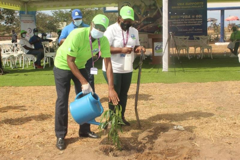 We will plant trees to maintain Volta Lake - VRA CEO - MyJoyOnline