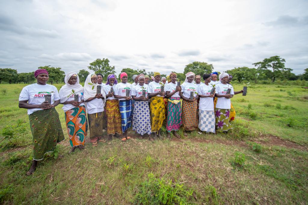 Global Shea Alliance celebrates Shea Month in July - MyJoyOnline