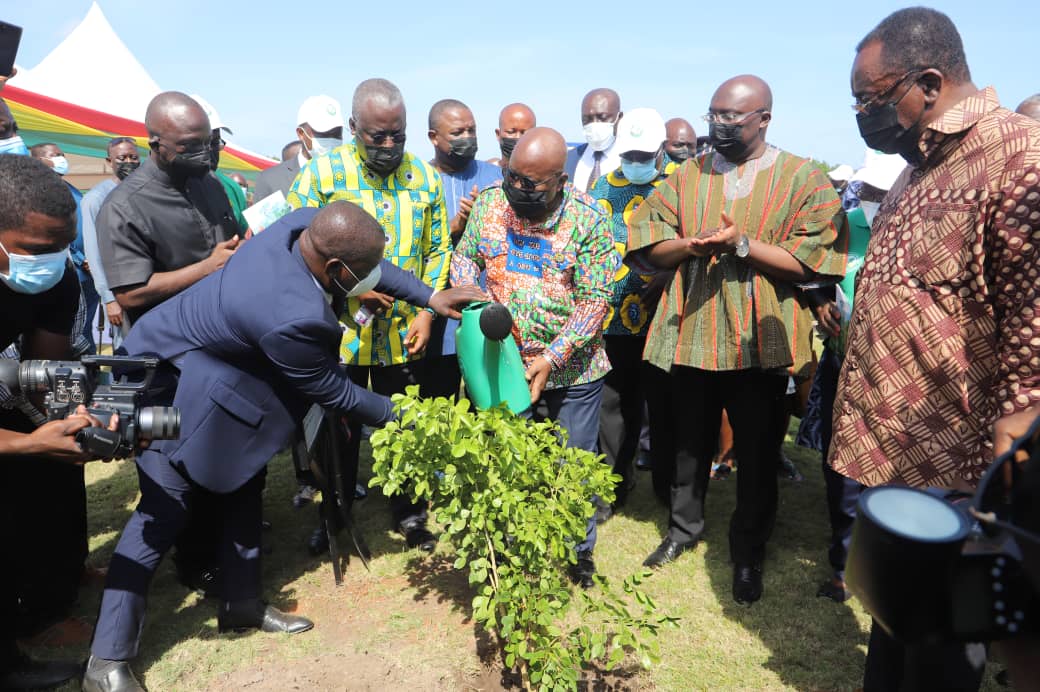 Akufo-Addo plants 'tree of life' to mark Green Ghana Day - MyJoyOnline.com