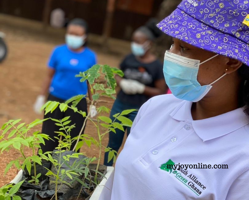 Youth Alliance commends government for Green Ghana Initiative and ...