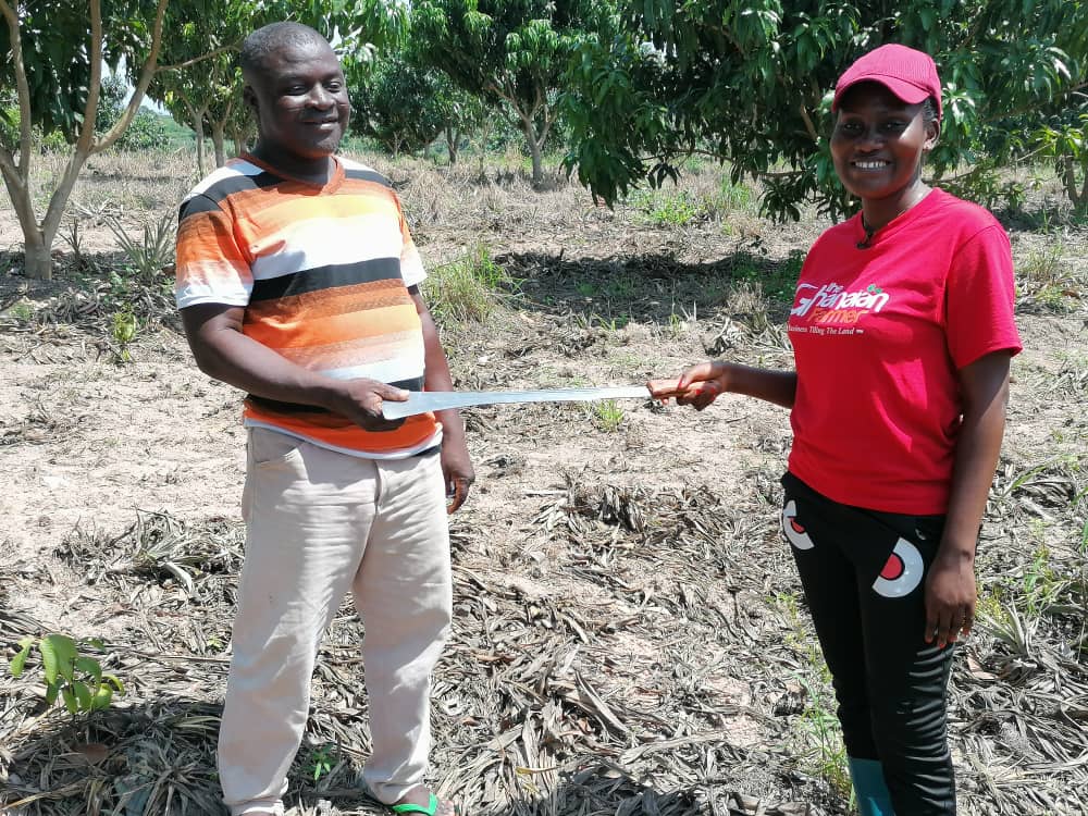 Crocodile Matchets Company supports farmers with Tools - MyJoyOnline