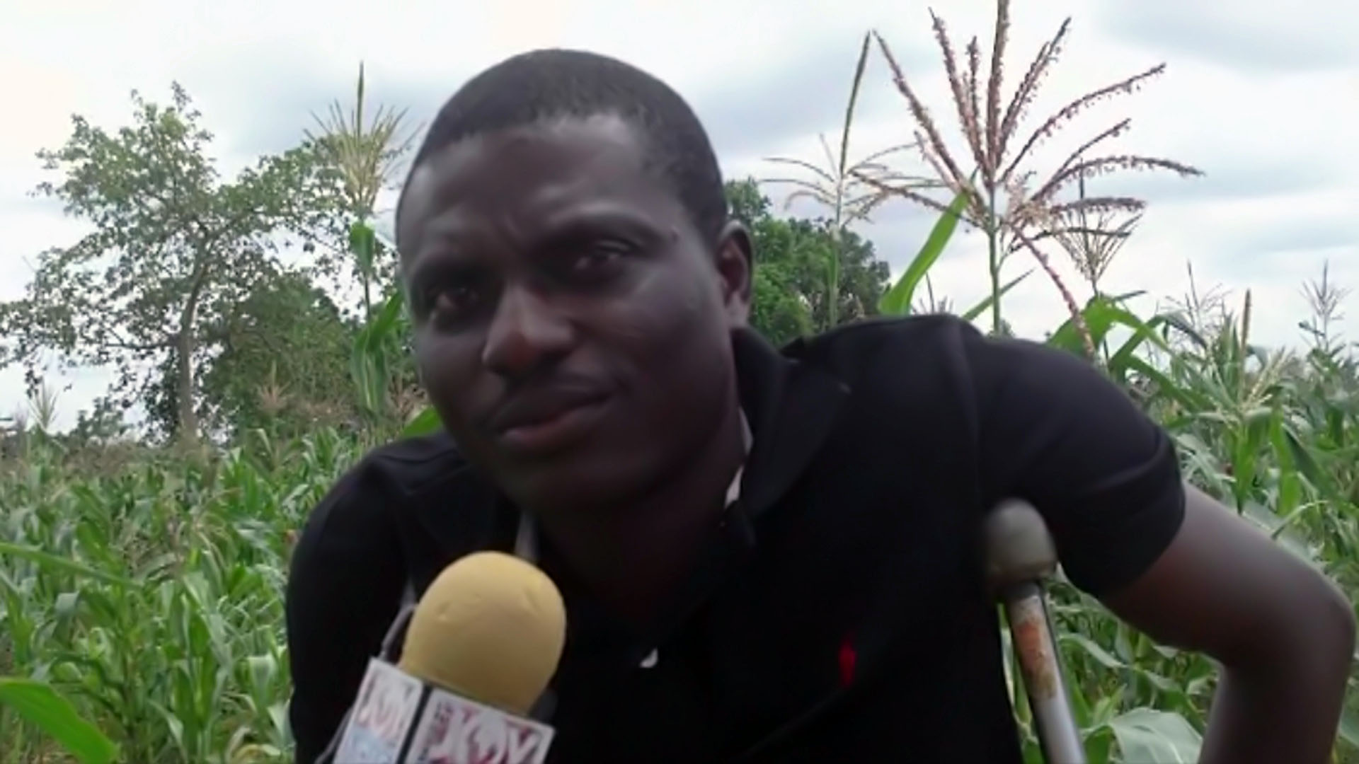 Best farmer bemoans widespread abuse of agrochemicals - MyJoyOnline