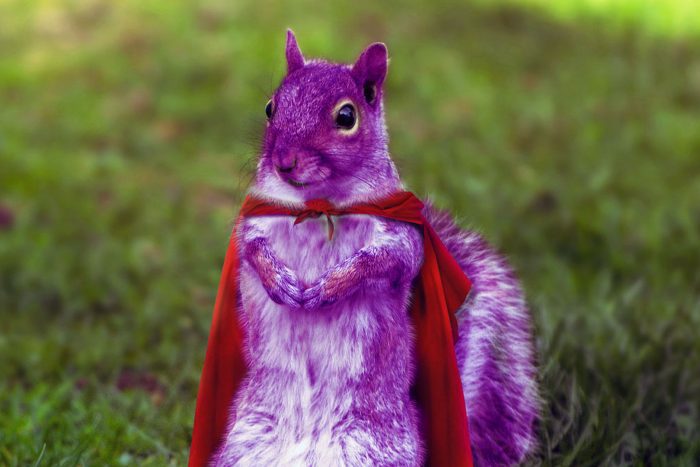 'In pursuit of dignity' (Episode I): Purple squirrels and The dark lord ...