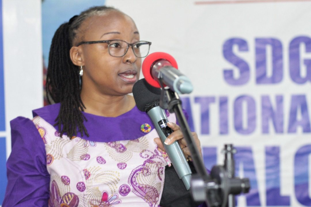 Work towards sustainable peace in Ghana – UNDP resident representative ...