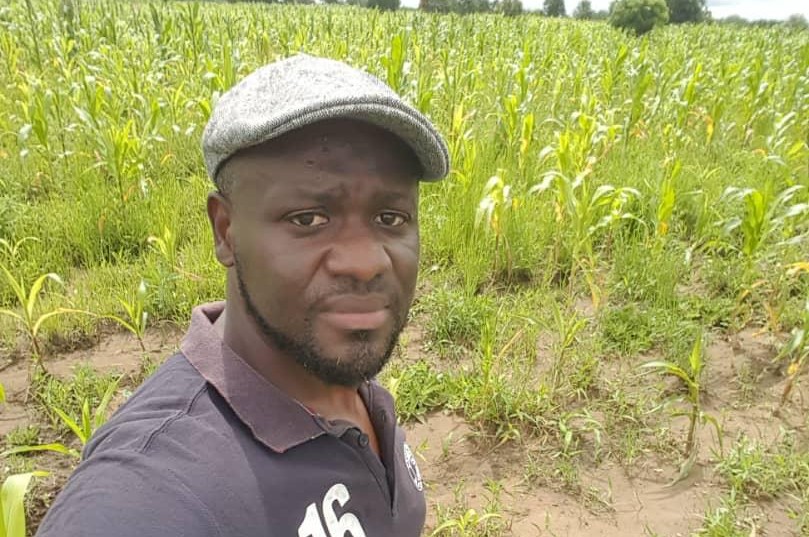 Too much of everything is bad, even rain to crops - Farmer who lost 50 ...