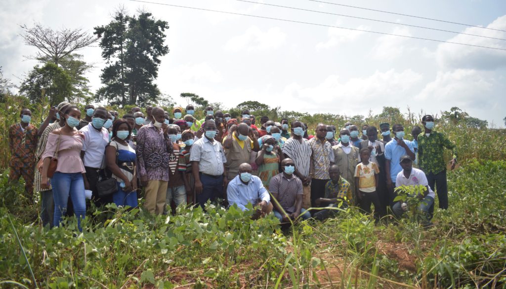 CSIR - Soil Research Institute advocates for fertilizers to increase ...