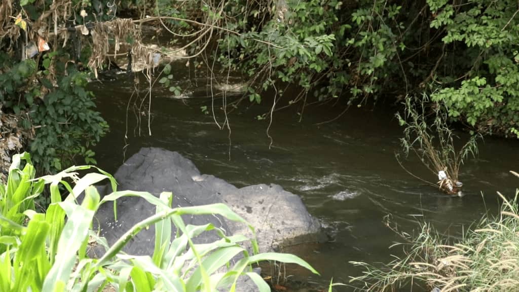 River Dayi in Hohoe is the cleanest in Ghana - Samuel Abu Jinapor ...