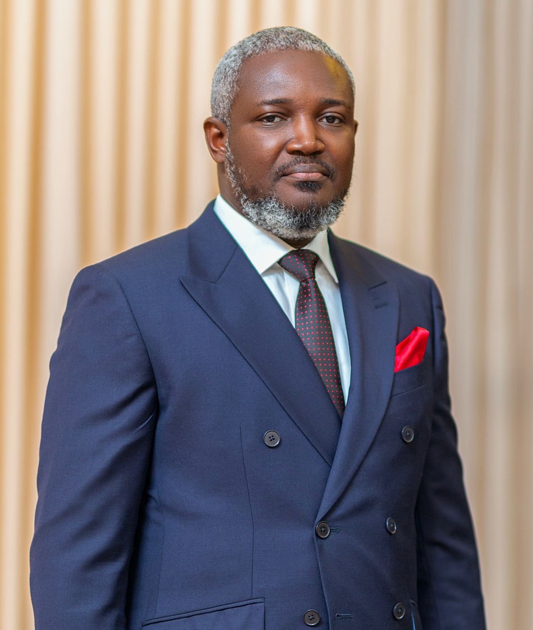 Perry Okudzeto, Linda Asante appointed Deputy Chief Executives of NPA ...