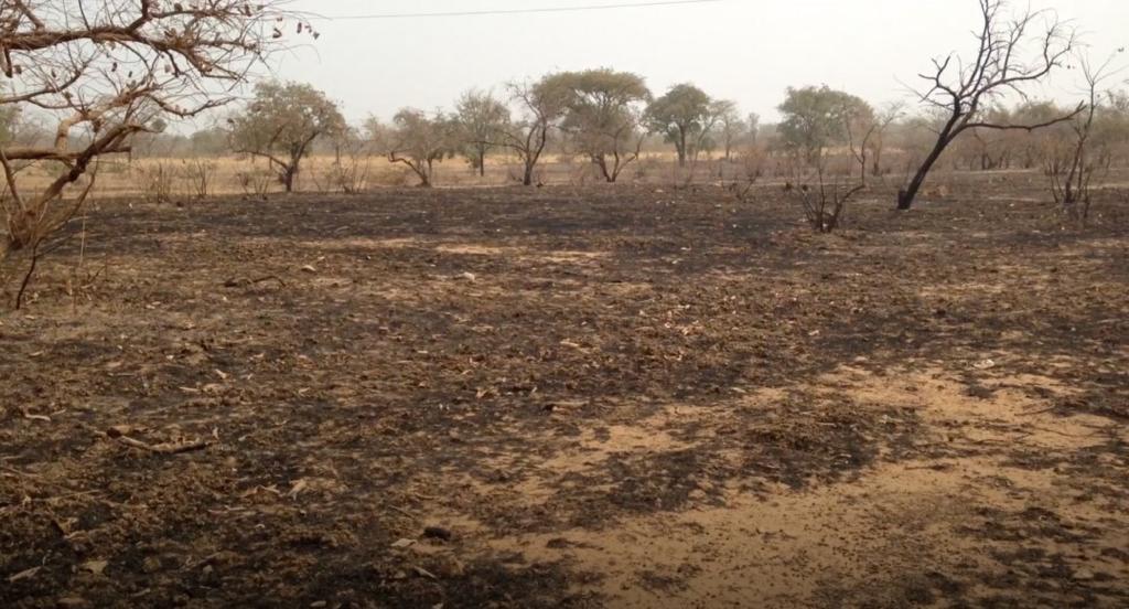 Bush fires: Equivalent of 600,000 average football pitch burnt in 10 ...