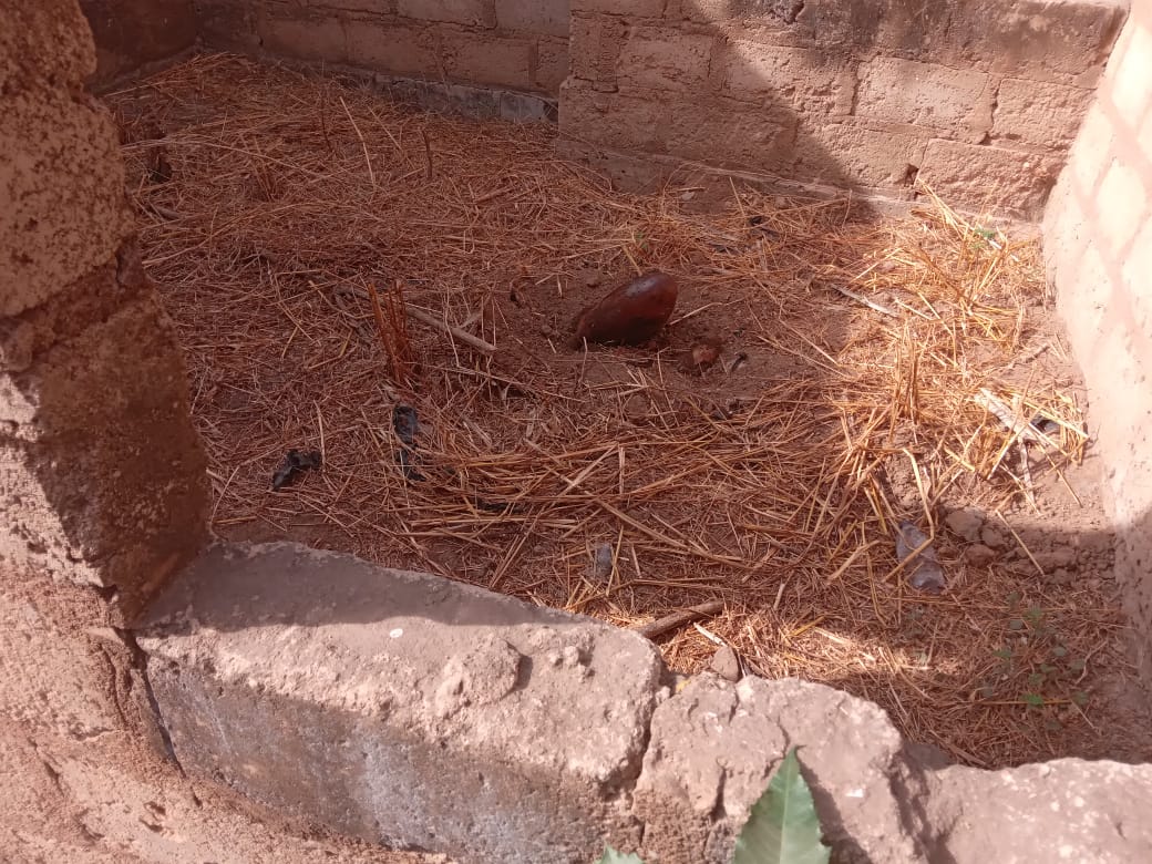 Another decaying body discovered in uncompleted building in Bole ...