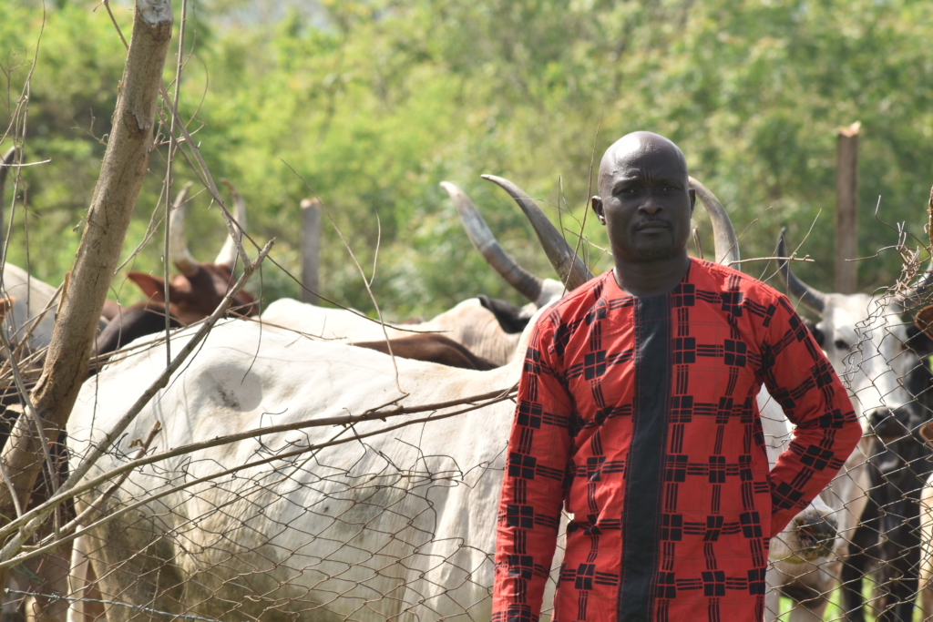 Have residents up in arms against cattle owners - MyJoyOnline