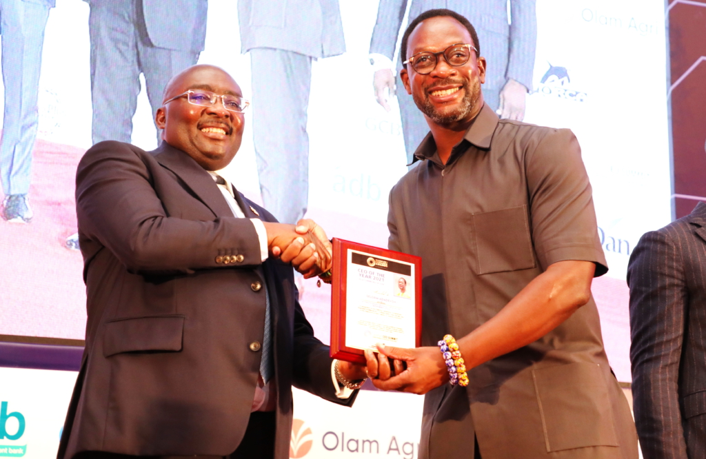 Photos: CEOs, business owners honored at Ghana CEO Summit - MyJoyOnline