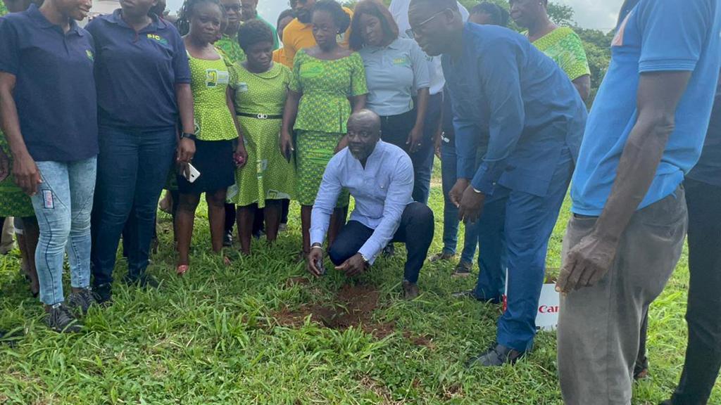 Green Ghana Day: SIC Life Insurance LTD plants over 800 trees - MyJoyOnline