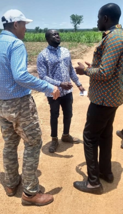 Bui Sugar Factory secures 16,000 hectares of land for sugarcane ...