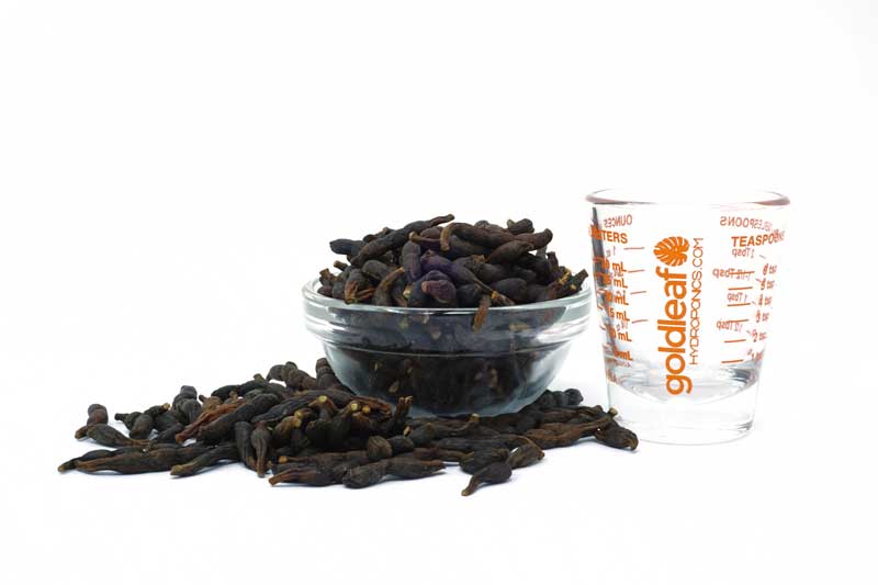 Hwentea support eye, liver health - Study - MyJoyOnline