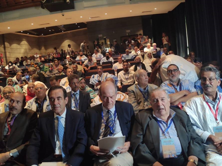 Sahrawi Movement For Peace outdoors manifesto at Las Palmas conference ...
