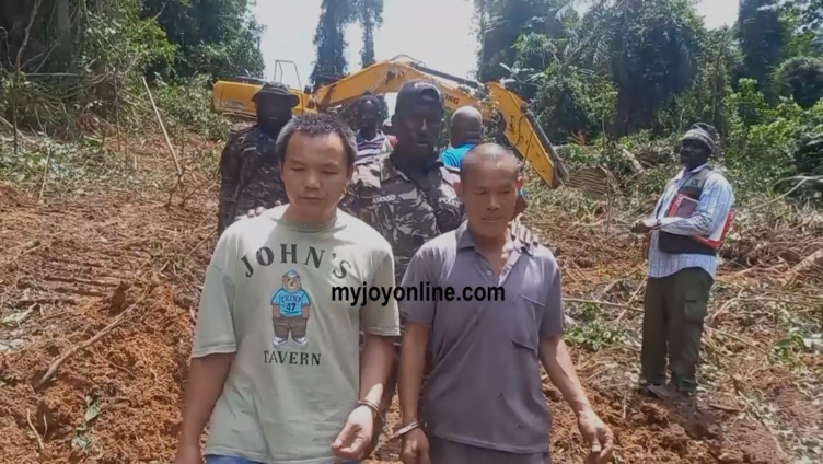 Forestry Commission overwhelmed by invasion of forest reserves in ...