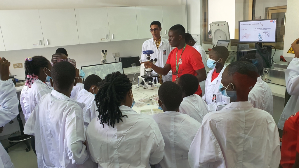 KCCR science day boosts pupils' confidence to pursue STEM careers ...