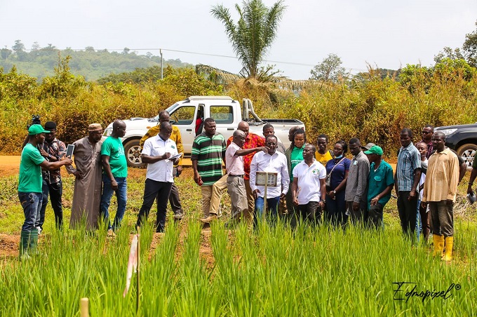 Minister impressed with general overview of agriculture in Oti Region ...