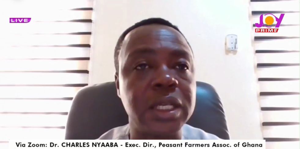 Cocobod failed to motivate and incentivise farmers - Nyaaba on low cocoa production - MyJoyOnline