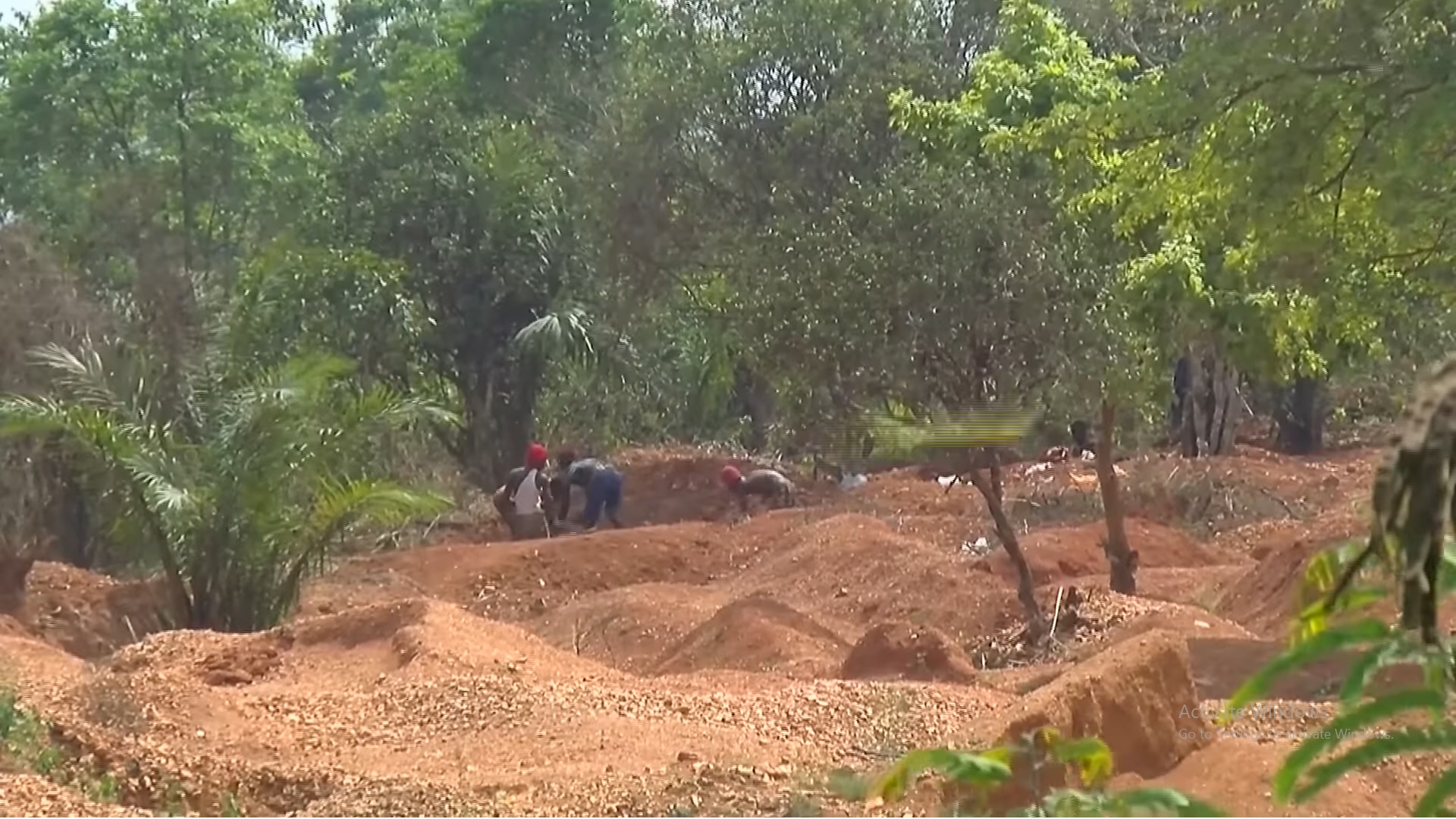 How illegal mining, climate change rob cocoa farmers of arable land in ...