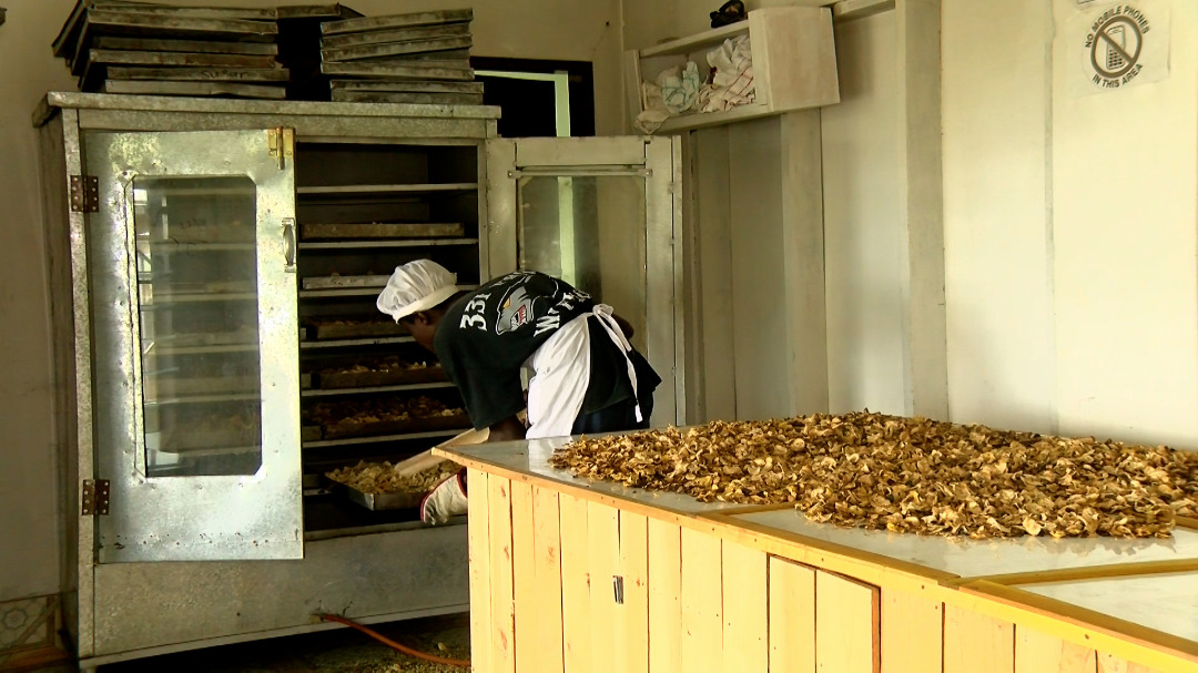 Constituents of Asante Akyem North debunk MP's claims of functioning ...