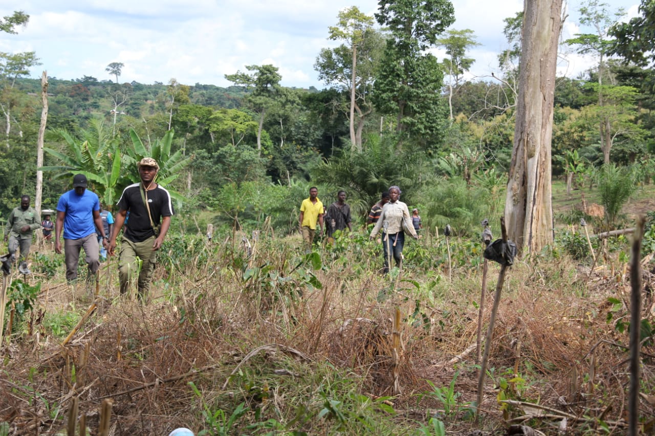WWF urges world leaders to reach ambitious global agreements to save ...