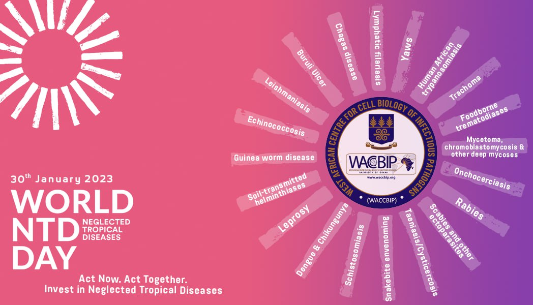 NTDs in Ghana; Let's act now, let's act together, let's invest in the ...