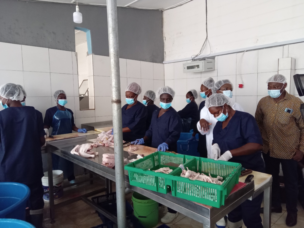 Rearing for Food and Jobs: MOFA supports poultry farms to scale up ...