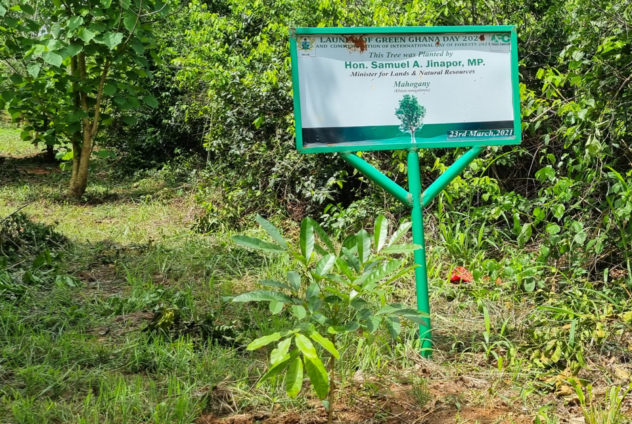 Ghana’s tree-planting drive and the biodiversity question - MyJoyOnline.com