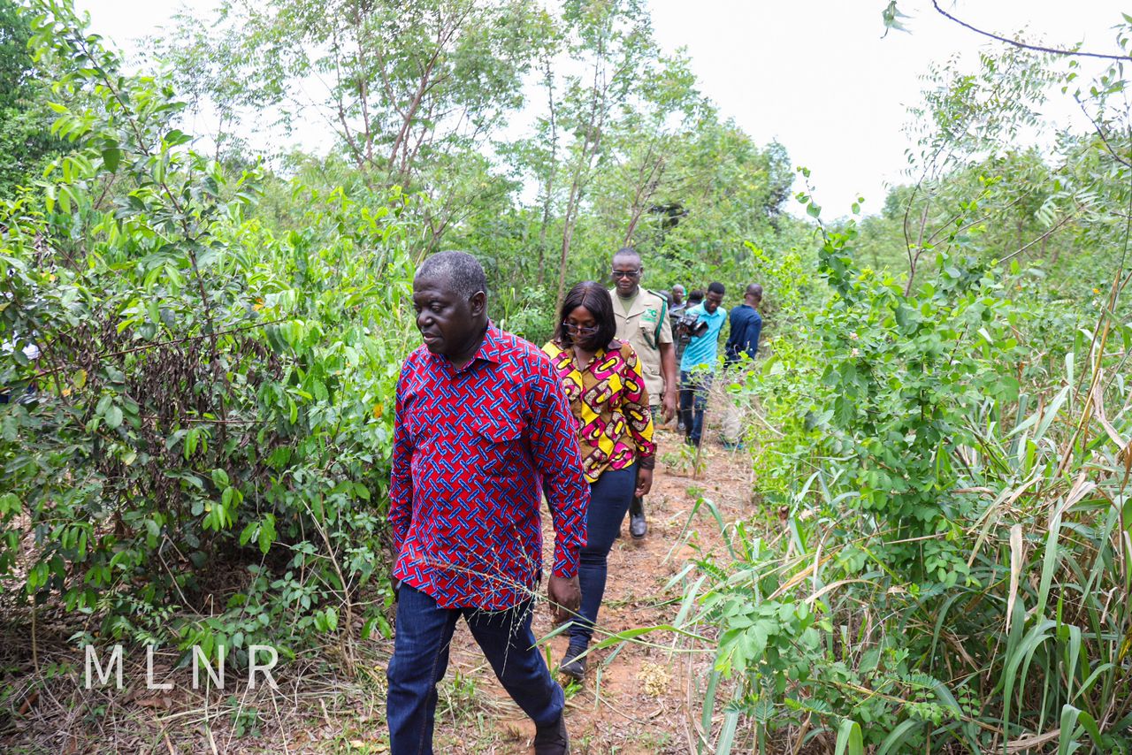 We owe Green Ghana seed providers ¢28m, not ¢2.3bn - Government ...