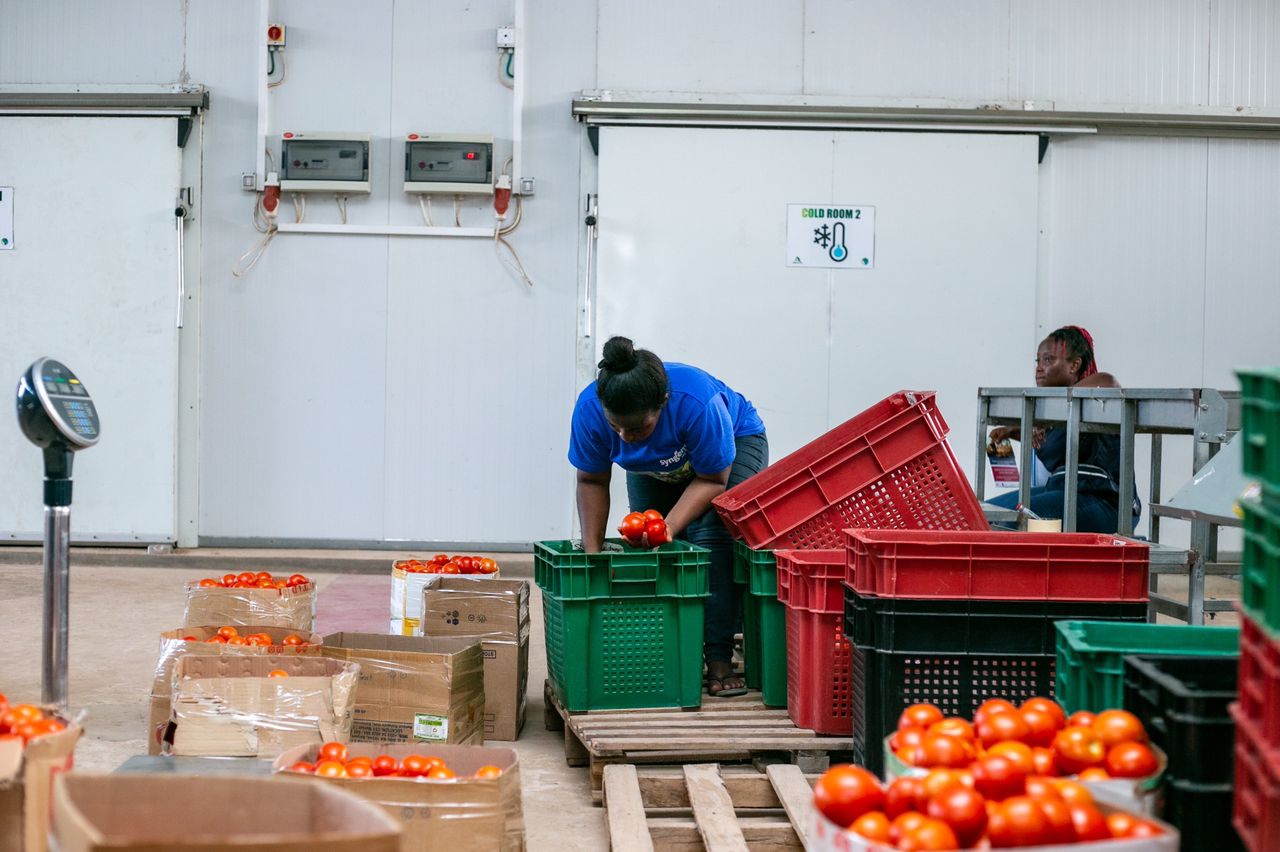 Digitalising Agriculture: Tech companies meet horticultural value chain - MyJoyOnline.com