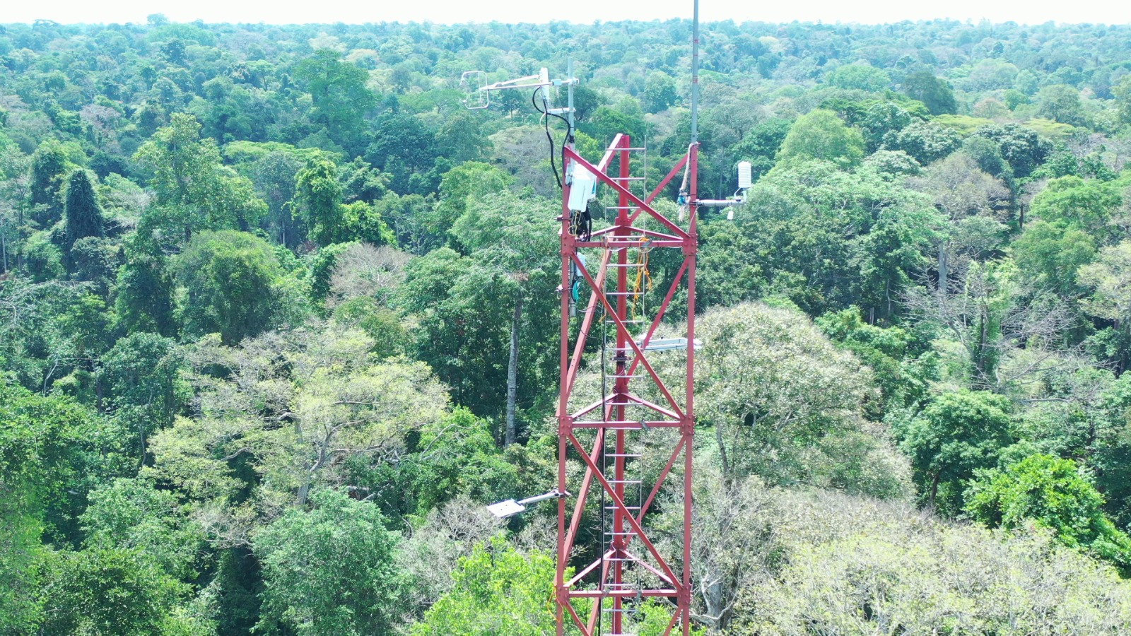 Modern equipment installed to help measure carbon flux dynamics within Bia Tano Forest Reserve ...
