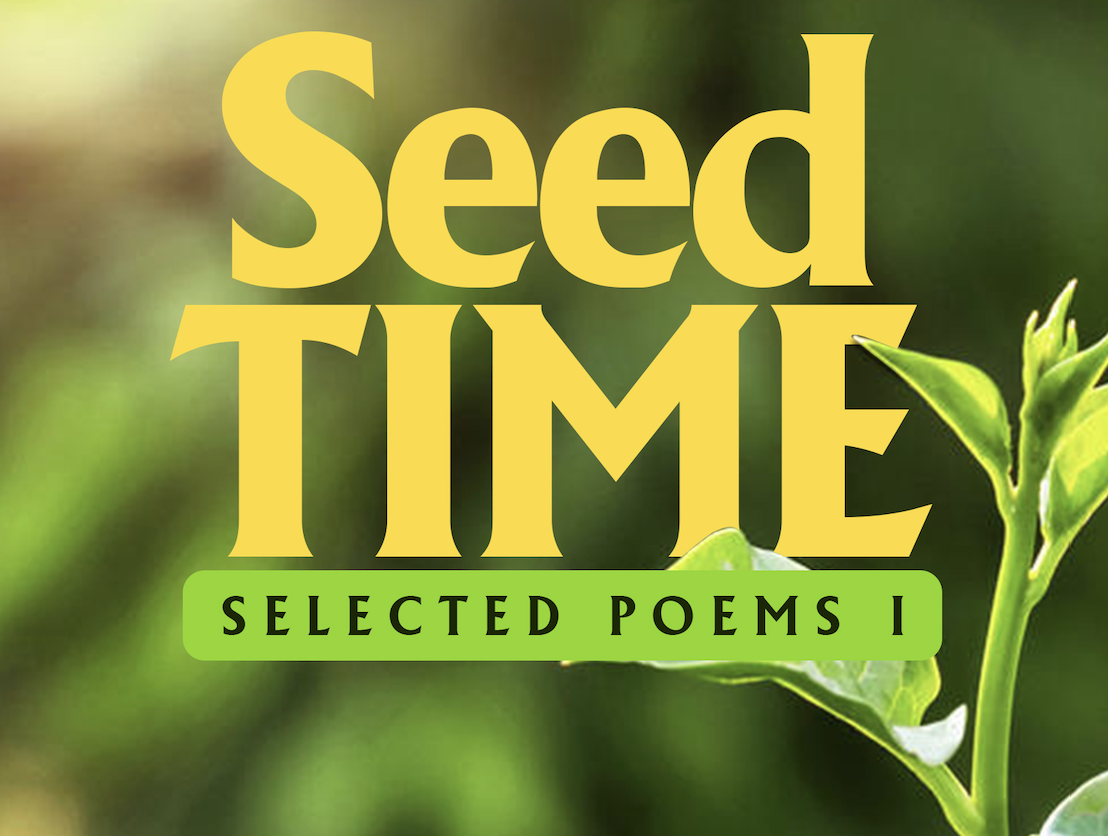 Renowned poet Prof Kofi Anyidoho to launch new book of selected poems, SEEDTime - MyJoyOnline