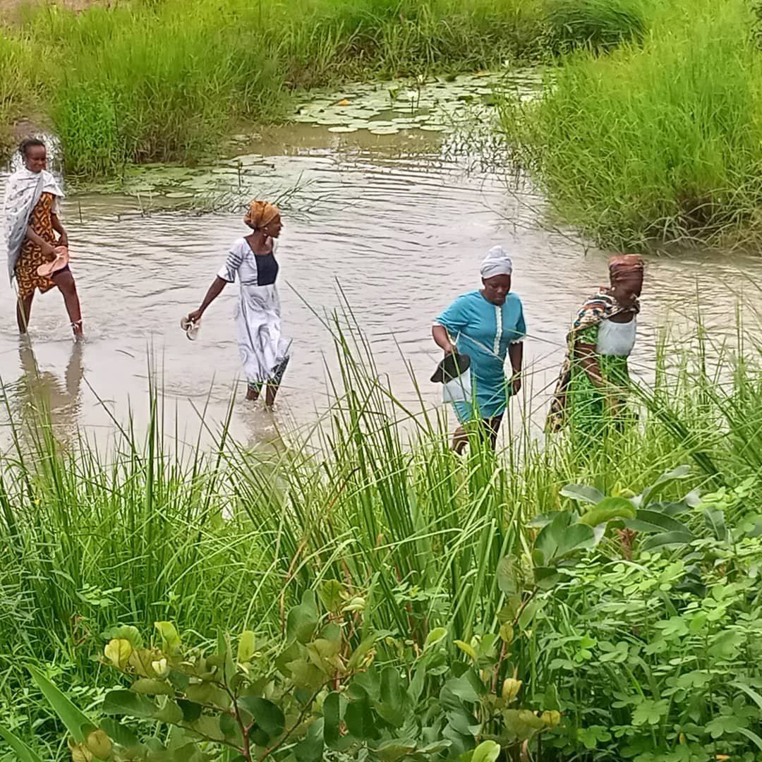 6 communities in Sawla-Tuna-Kalba appeal to Government, Japanese ...