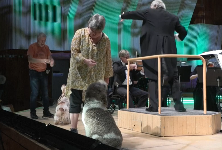 Dogs perform Mozart with orchestra in Denmark - MyJoyOnline