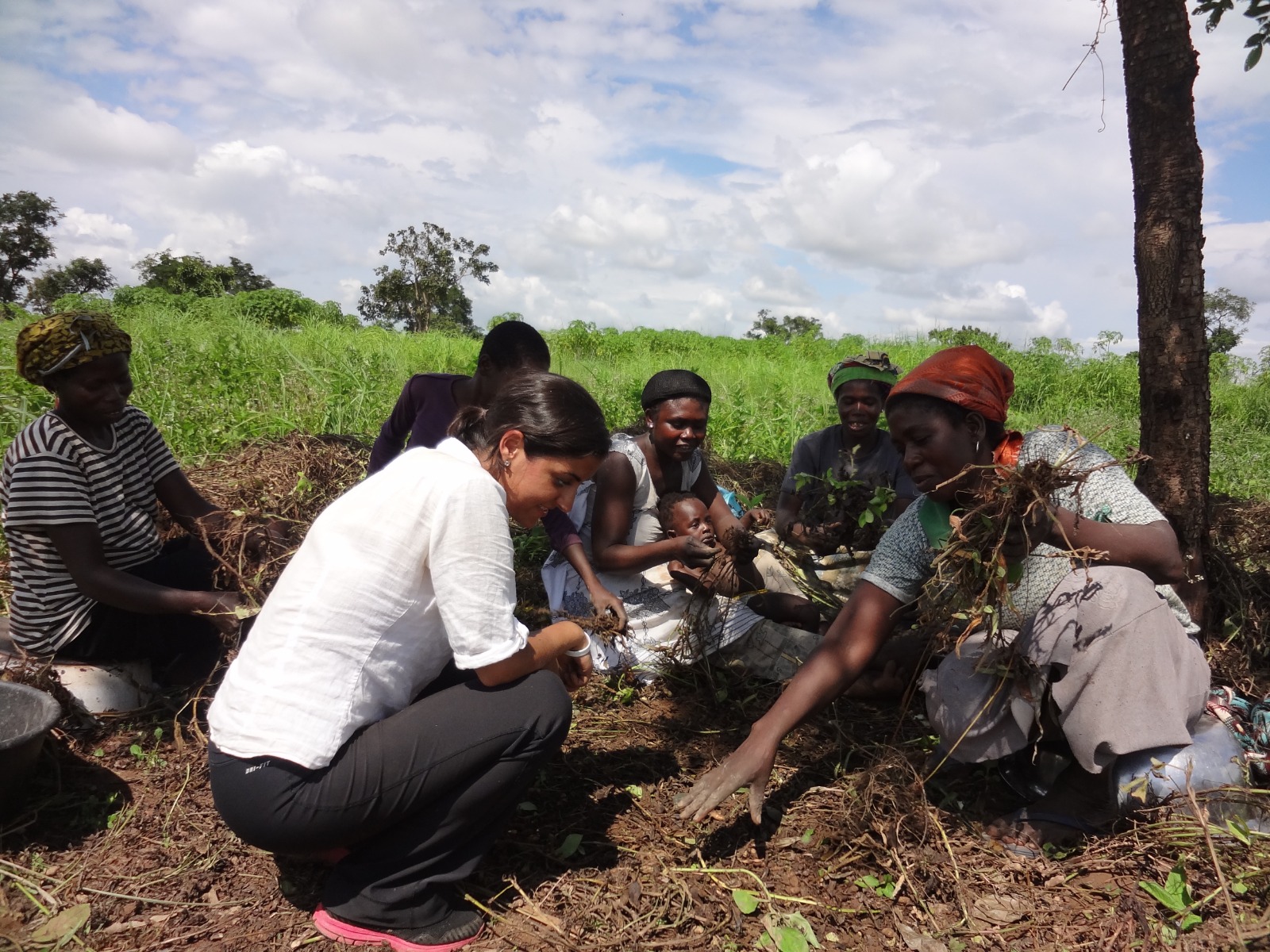 Over a decade of agri-food transformation: Dr Siera Vercillo's journey ...