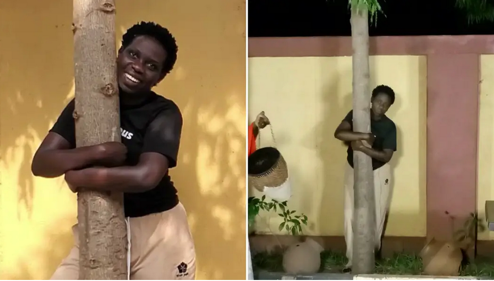 Ugandan activist hugs tree for 16 hours to set world record: "The tree ...